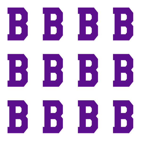 Varsity Pro Large Purple Letter B – iD4Gear